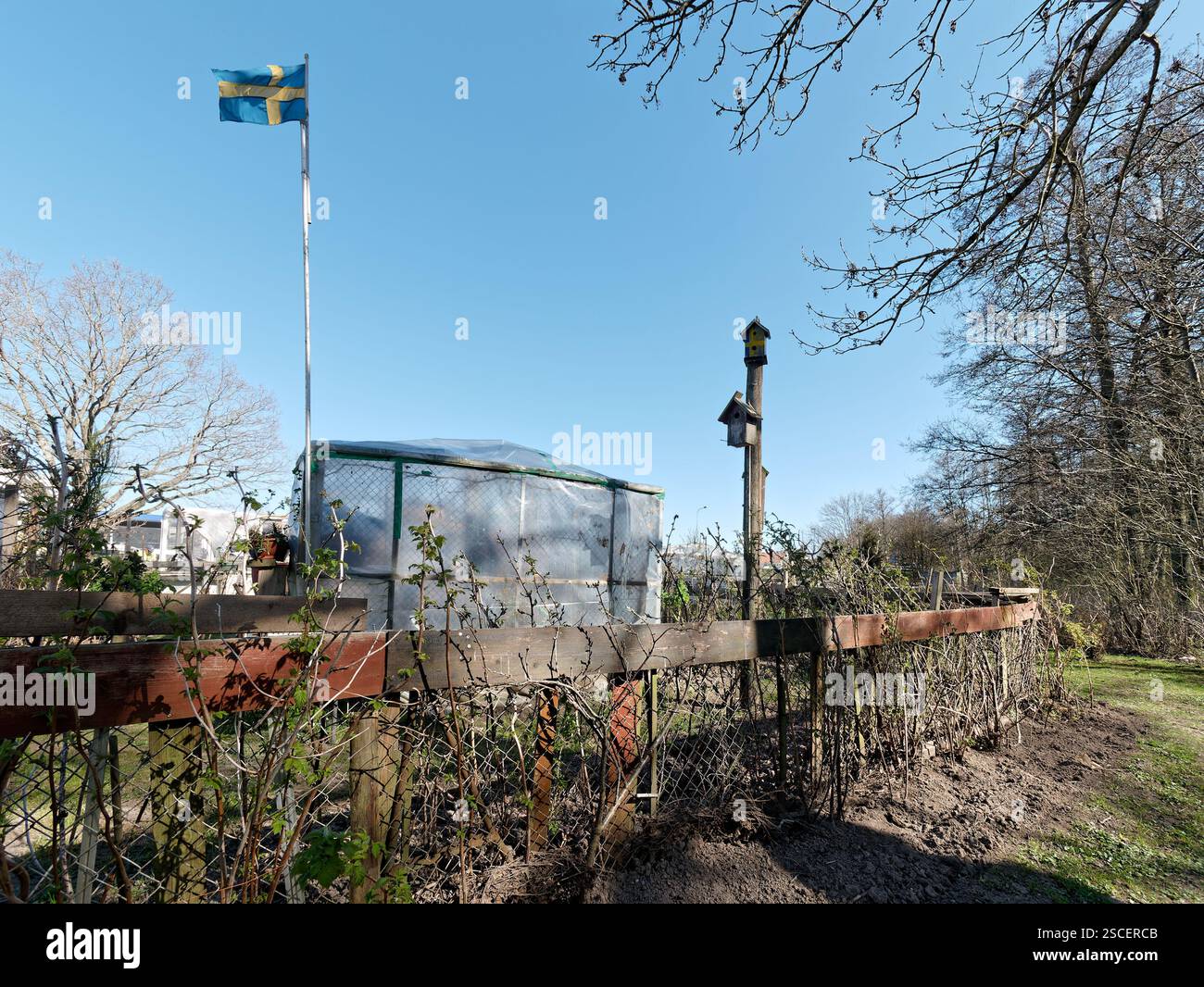 An allotment in a community garden with the Swedish flag on the ...