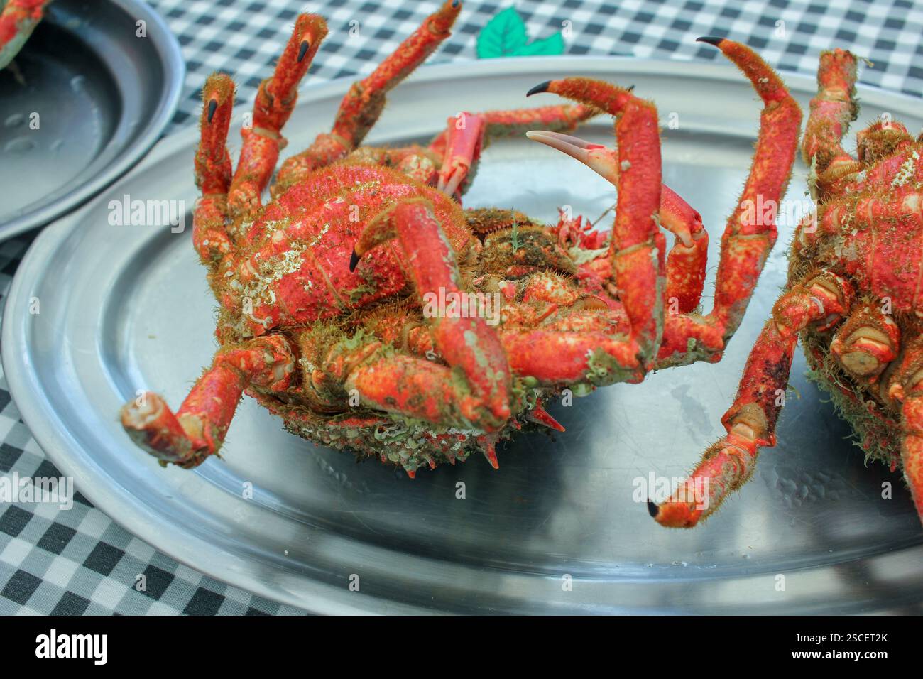 two spider crabs ready to be served for lunch Stock Photo - Alamy