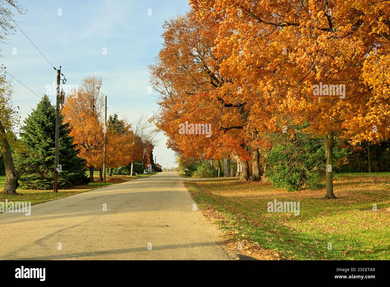 Lee, Illinois, USA. A tree-lined street shows off the colors of autumn ...