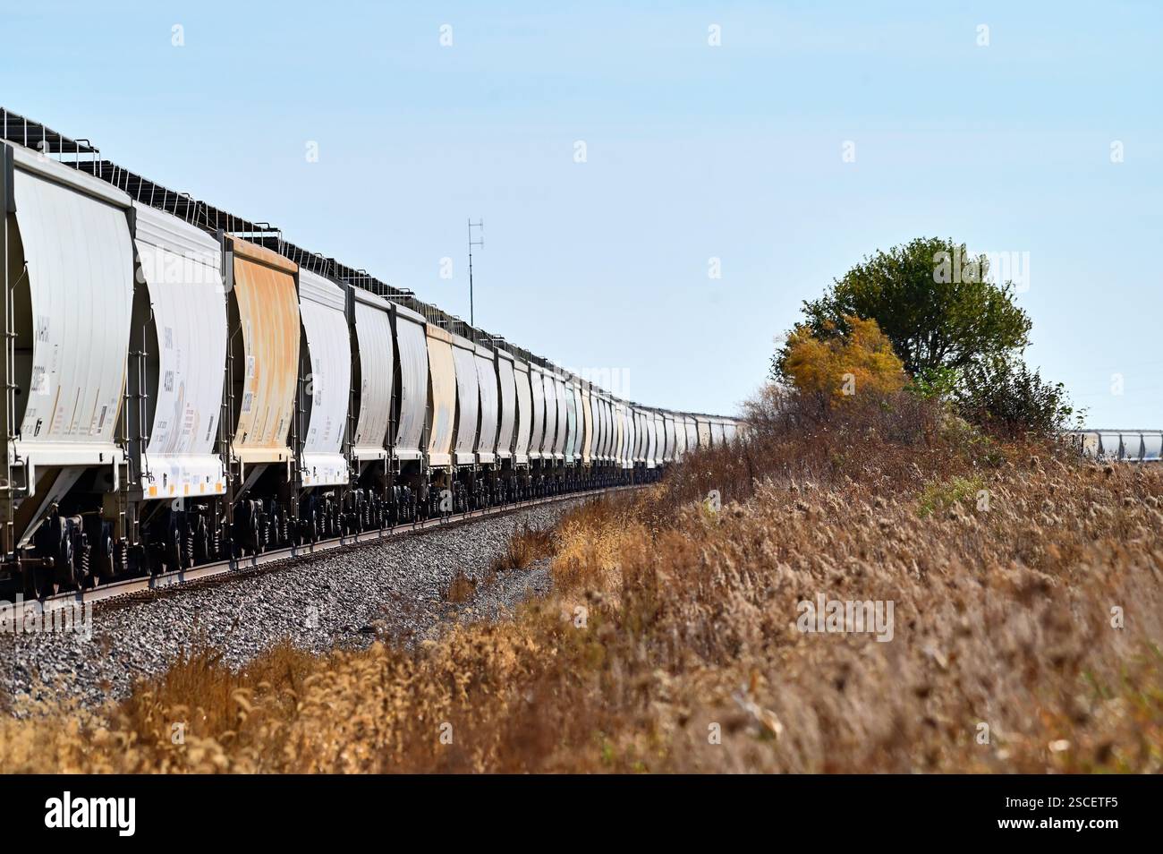 Grain hopper hi-res stock photography and images - Alamy