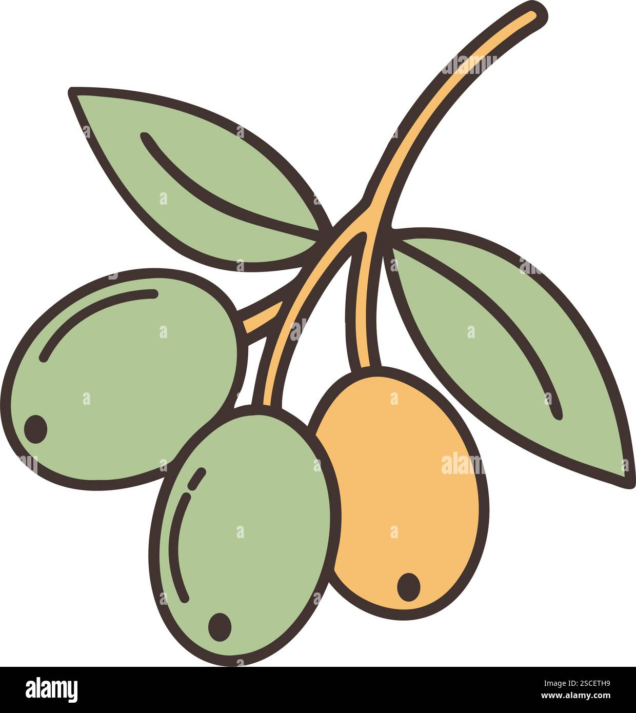 greek olive branch with green olives Stock Vector Image & Art - Alamy