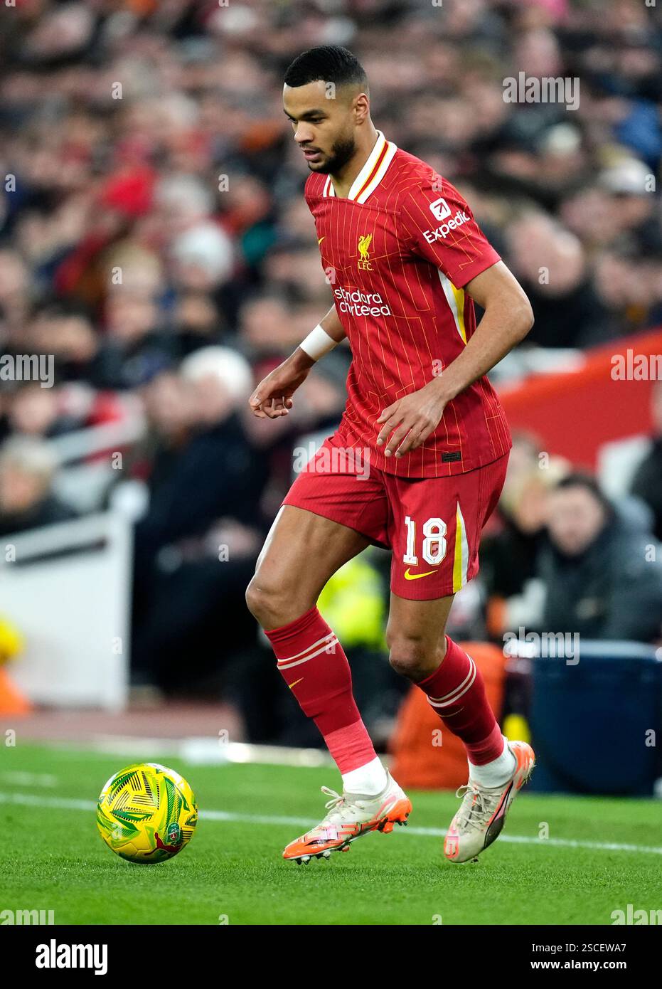 Gakpo liverpool 2025 hi-res stock photography and images - Alamy