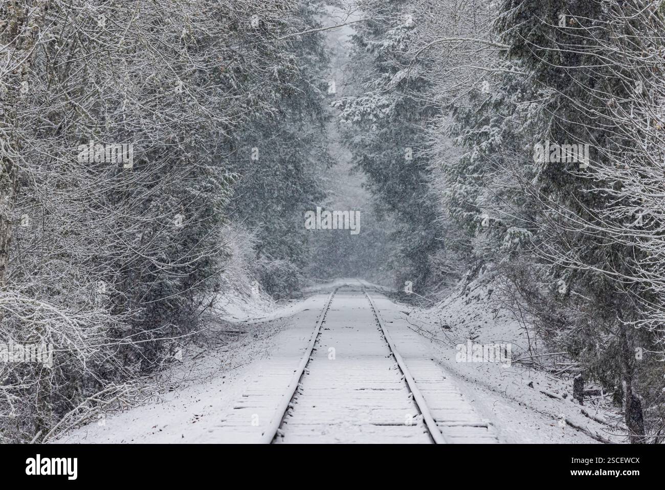 Tracks of the Puget Sound & Pacific Railroad in the snow on the Olympic ...