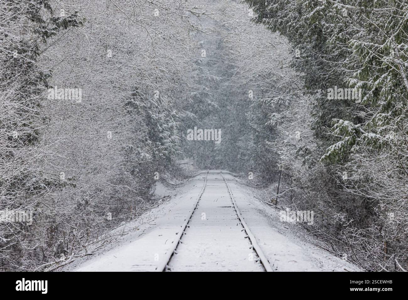 Tracks of the Puget Sound & Pacific Railroad in the snow on the Olympic ...