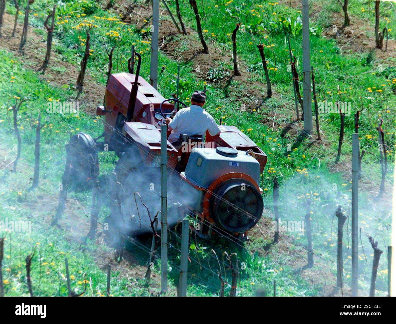 Tractor use in wine growing, machine in viticulture and agriculture ...