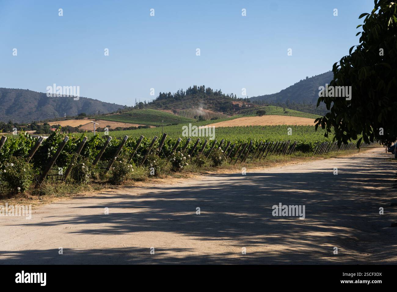Colores de Chile Stock Photo - Alamy