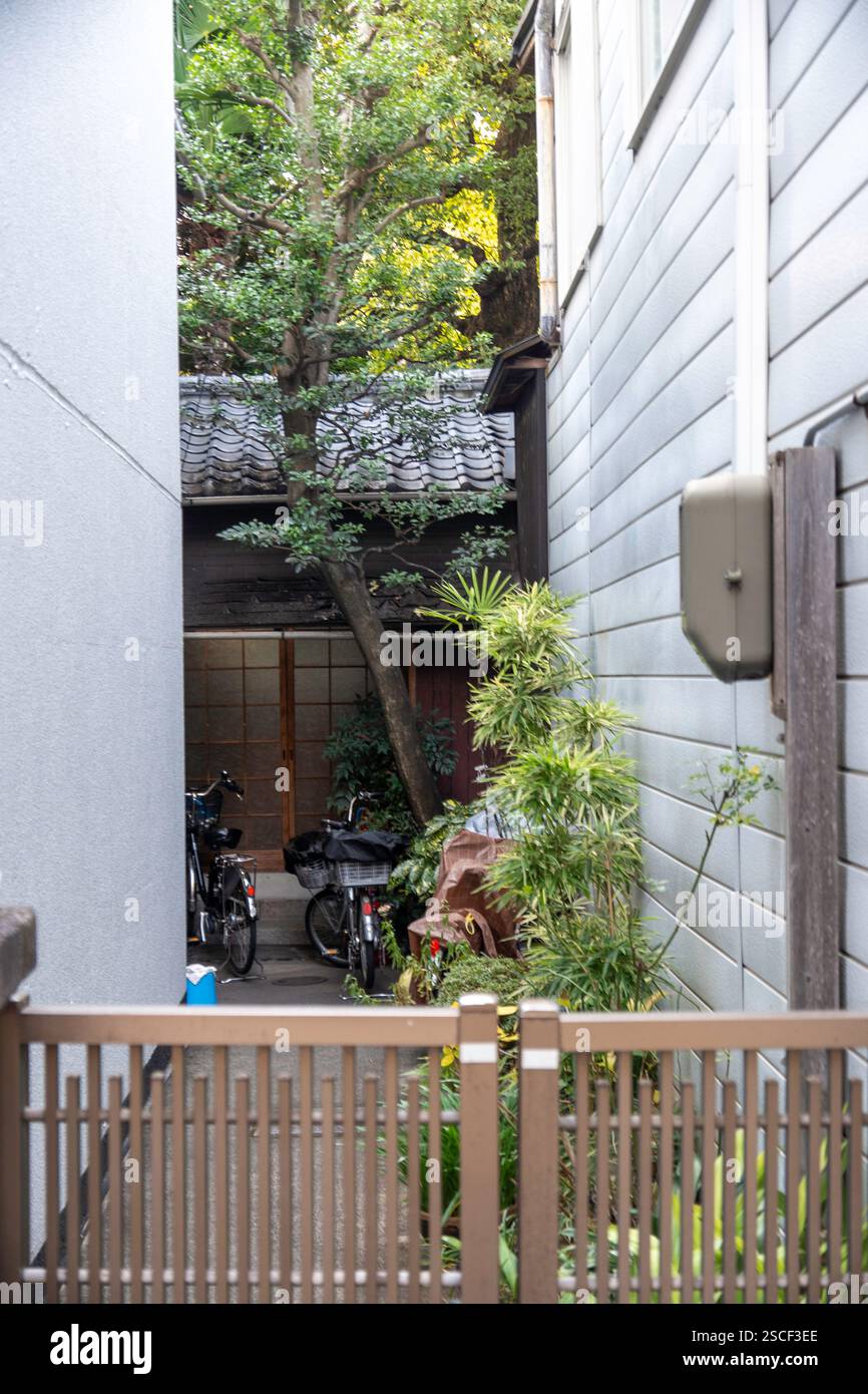 Quiet alleyway in Gion, Japan showcasing traditional architecture and ...