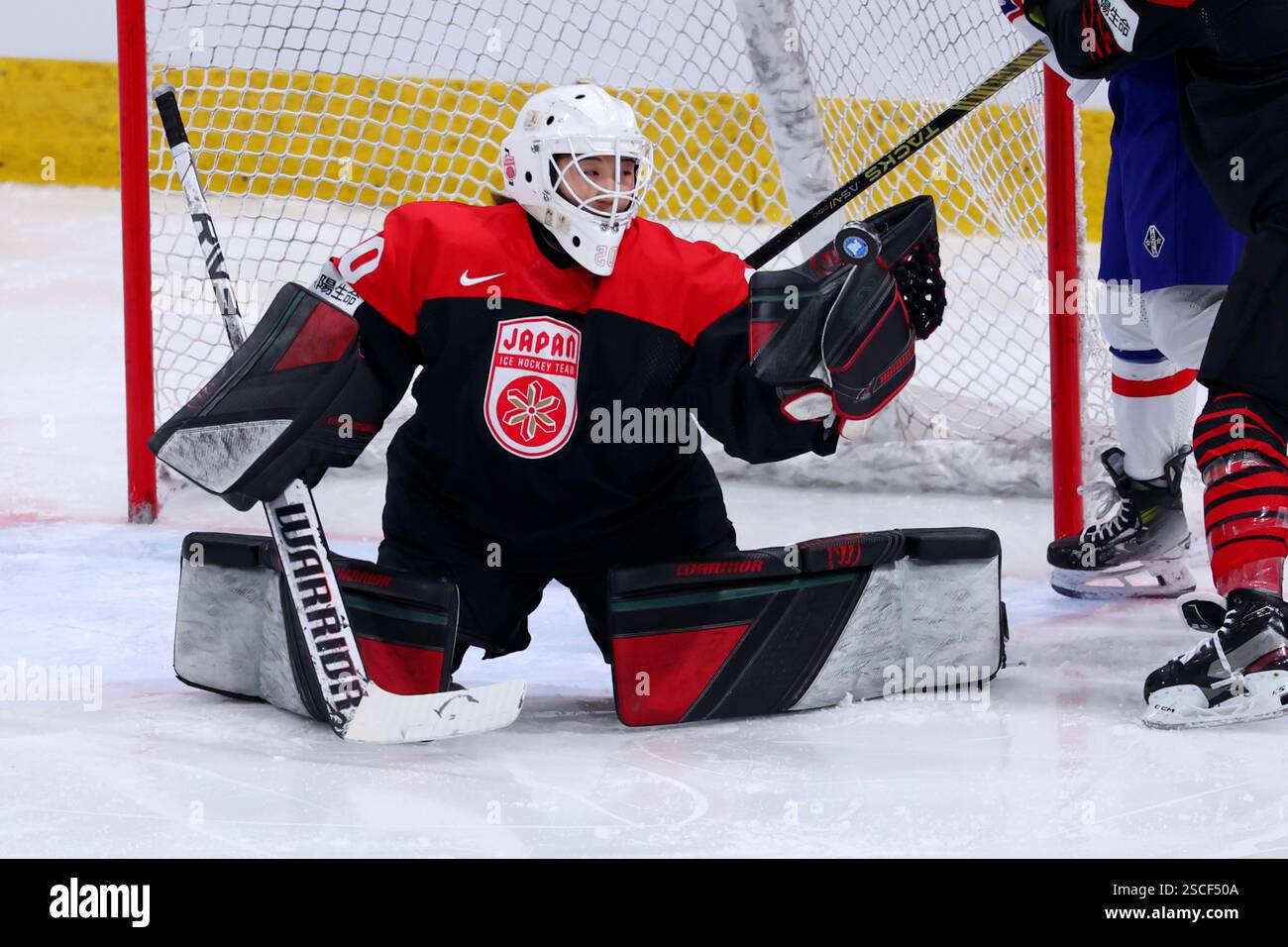 Hokkaido, Japan. 6th Feb, 2025. Miyuu Masuhara (JPN) Ice Hockey : Women ...