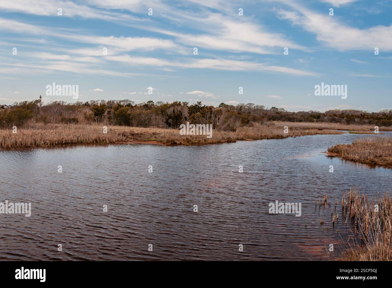 Salt marshm hi-res stock photography and images - Alamy
