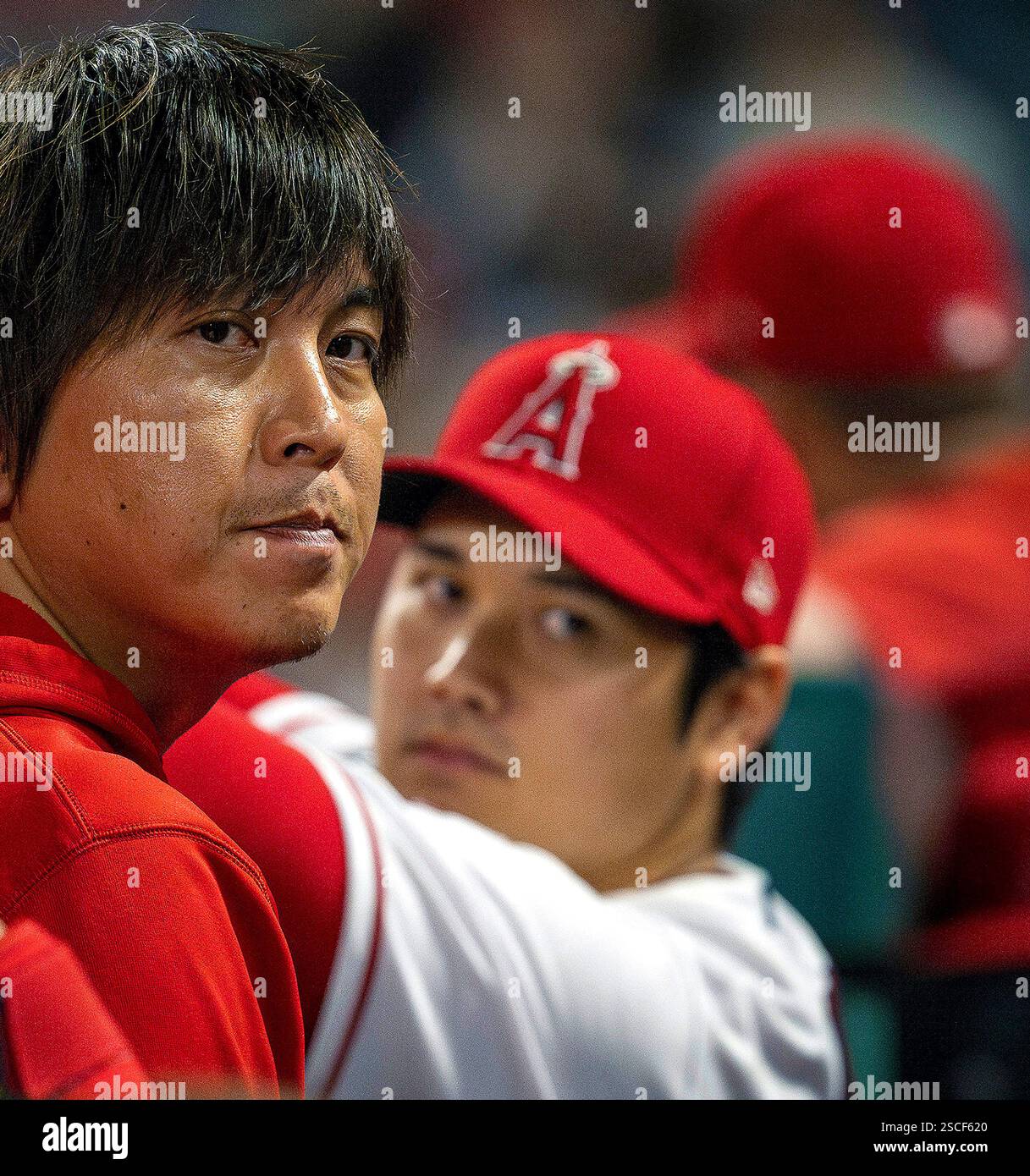 Santa Ana, California, USA. 6th Feb, 2025. IPPEI MIZUHARA, 40, the ...