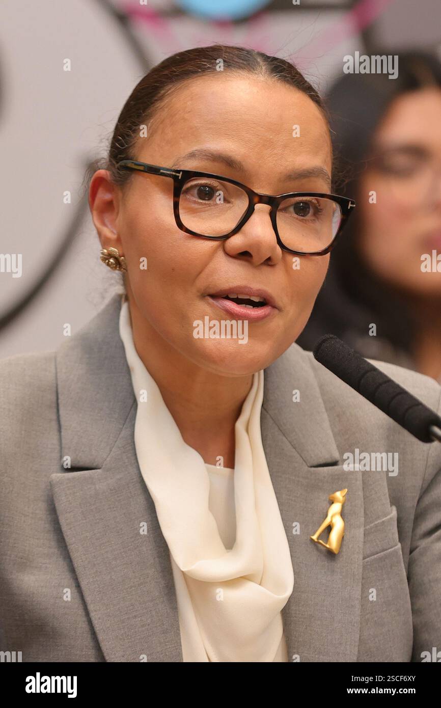 Ny, USA. 7th Feb, 2025. NEW YORK, NEW YORK - FEBRUARY 06: DM Ana ...