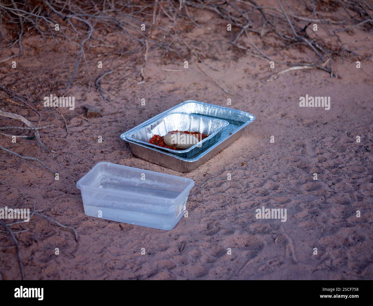 Community strays hi-res stock photography and images - Alamy