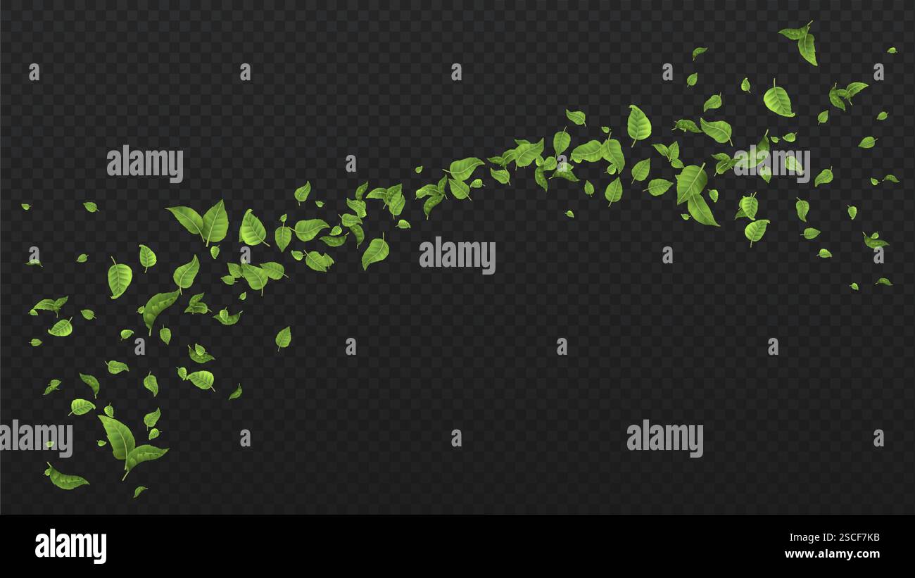 Flying green leaves. Foliage and swirl of leaf. Wind stream. Ecology ...