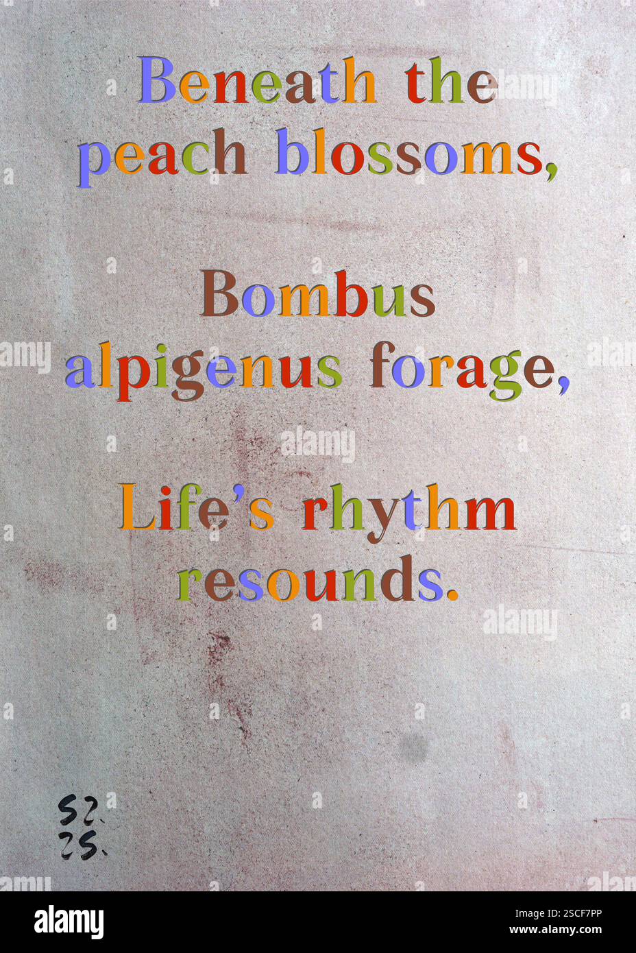 Beneath the peach blossoms, Bombus alpigenus forage, Life's rhythm ...