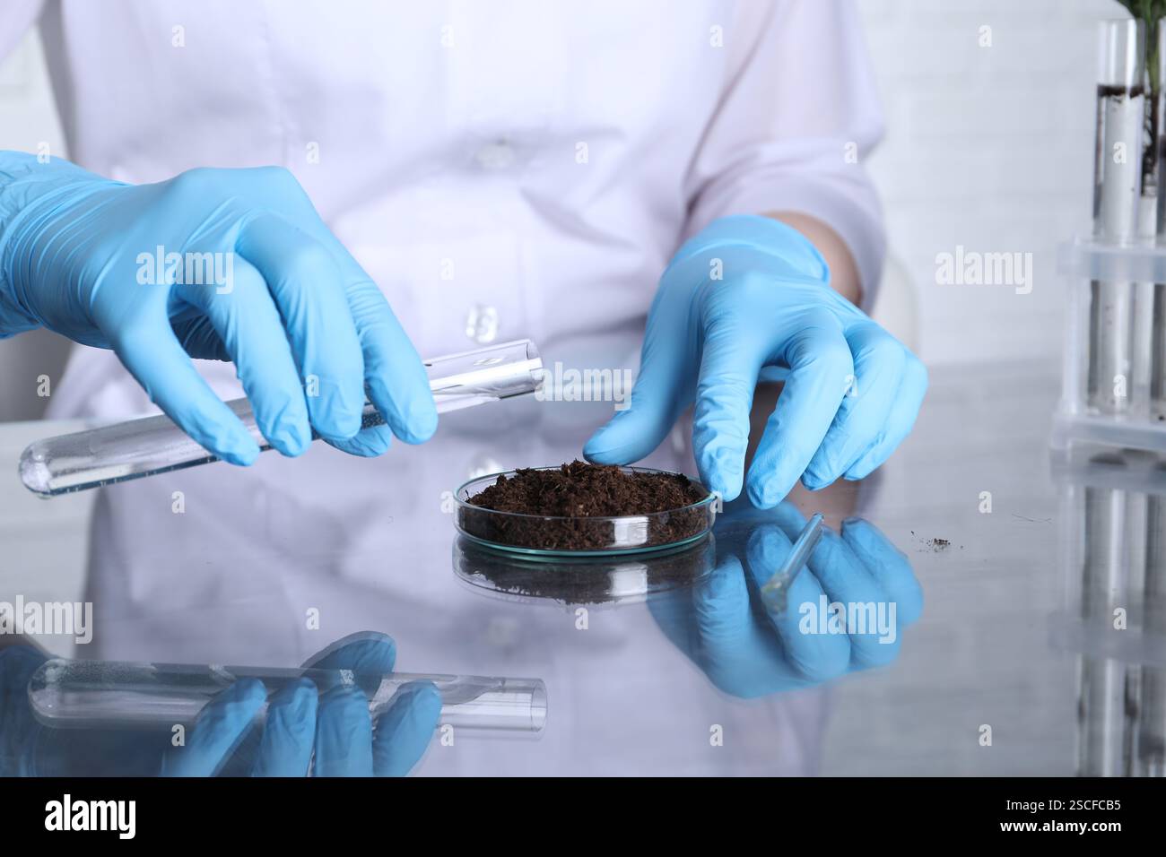 Laboratory testing. Scientist pouring liquid onto soil sample at table ...