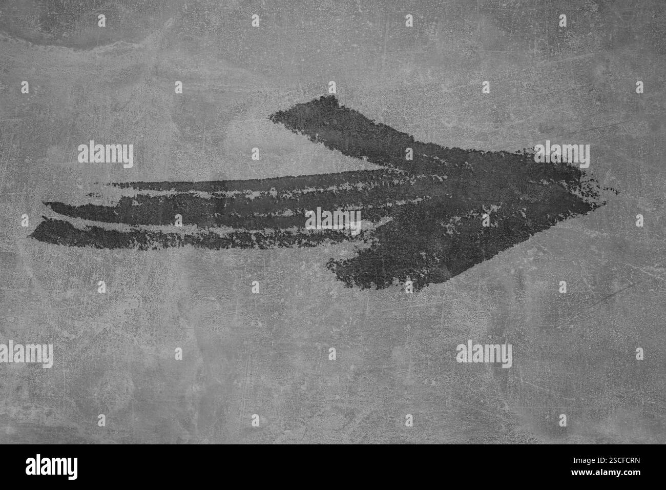 One line drawing light Black and White Stock Photos & Images - Alamy