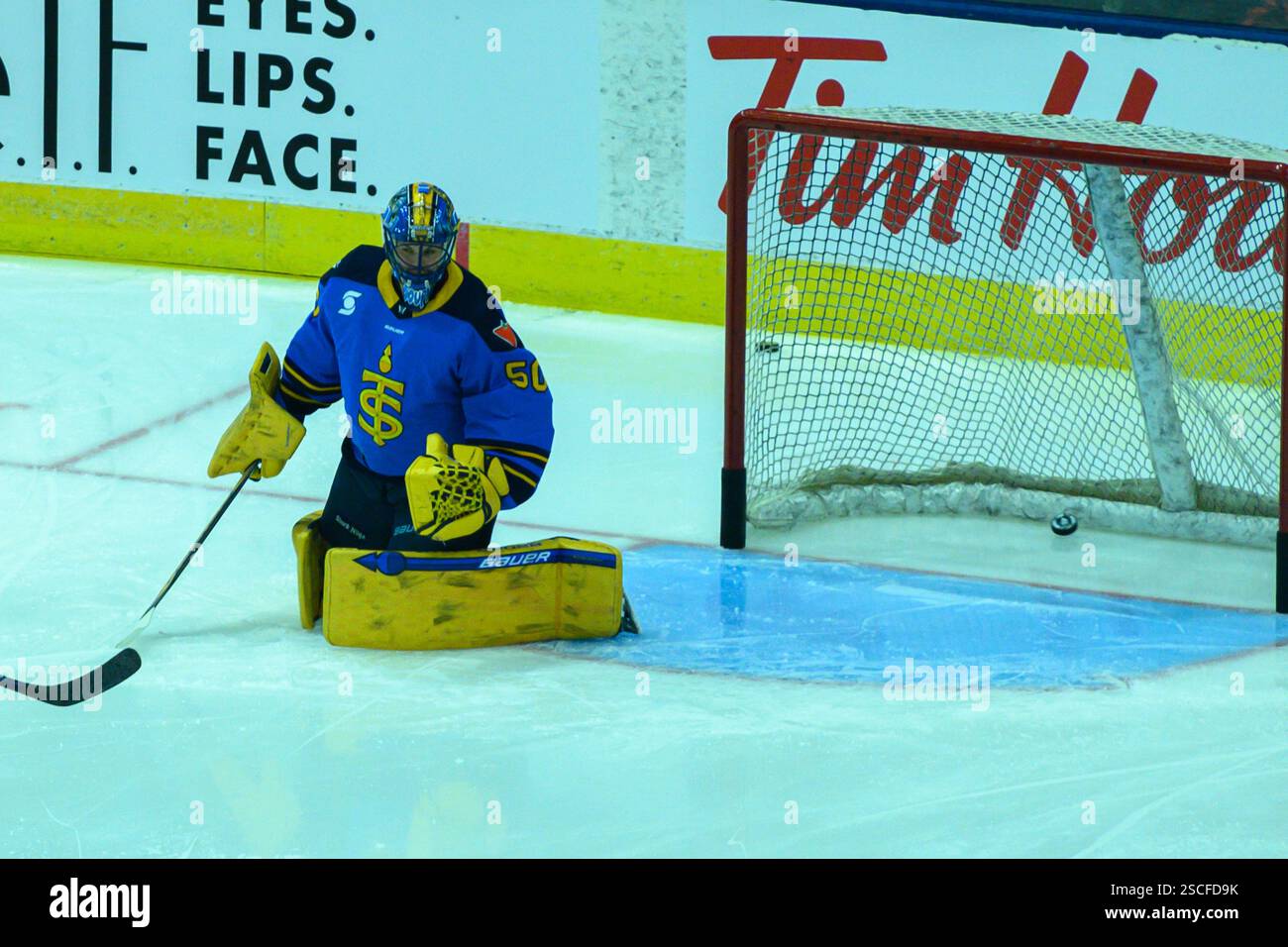 Toronto, ON, Canada – February 1, 2025: #50 Kristen Campbell goalie of ...