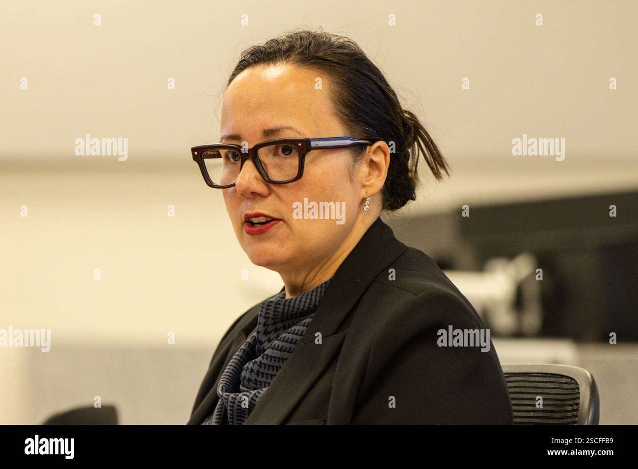 Melbourne, Australia. 07th Feb, 2025. Victorian Minister for Housing ...