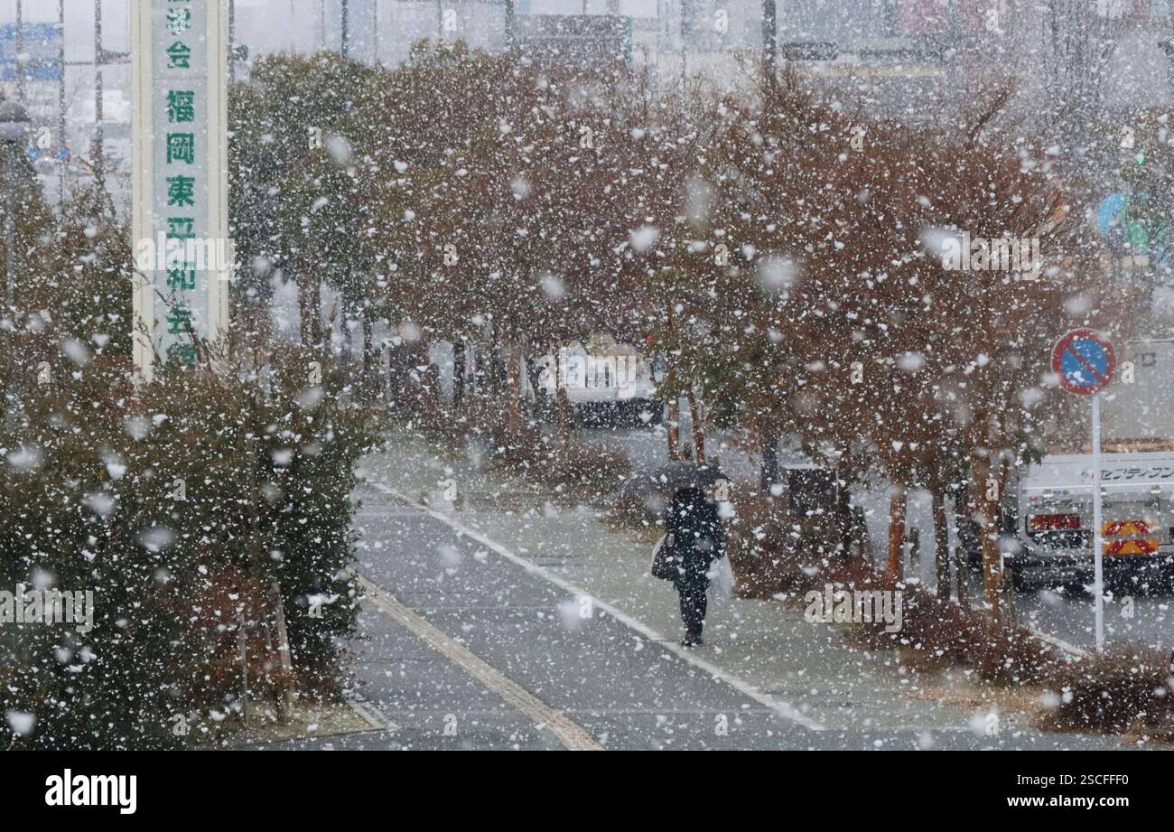 Snow falls in Fukuoka City, Fukuoka Prefecture, western Japan and ...
