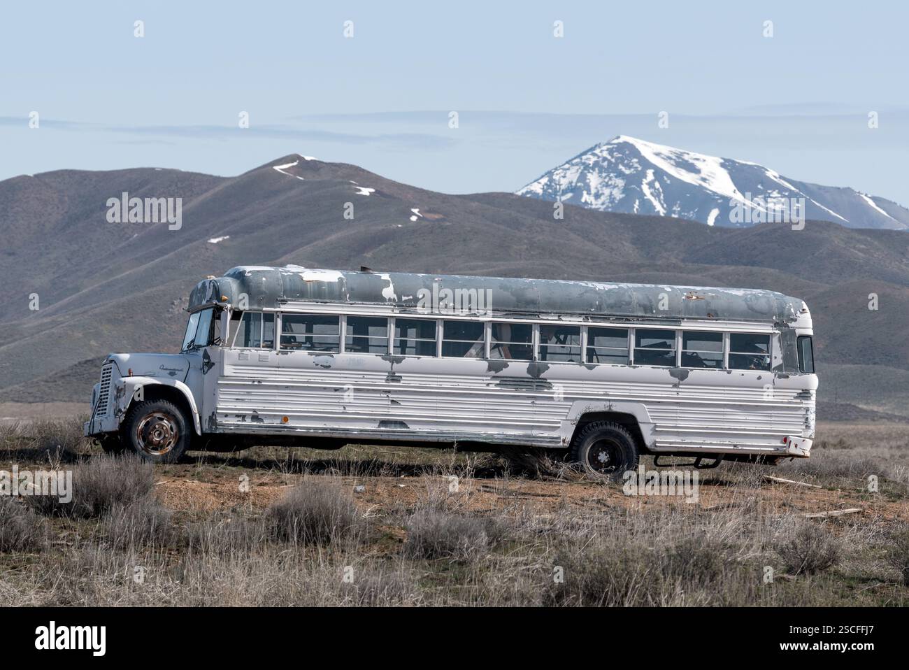 Old International school bus, Camas County, Idaho Stock Photo - Alamy