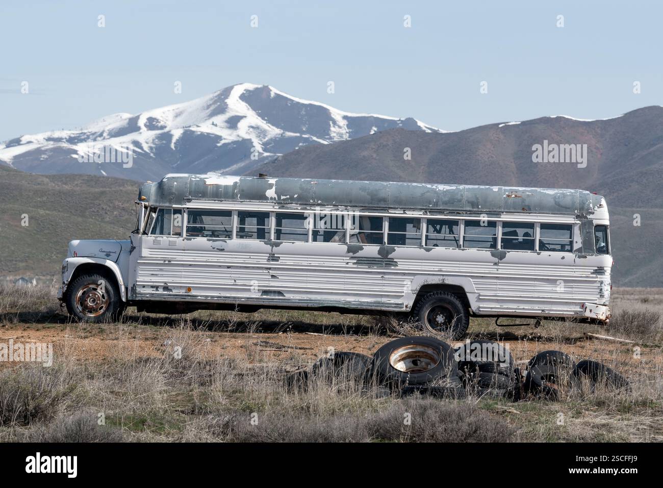Old International school bus, Camas County, Idaho Stock Photo - Alamy
