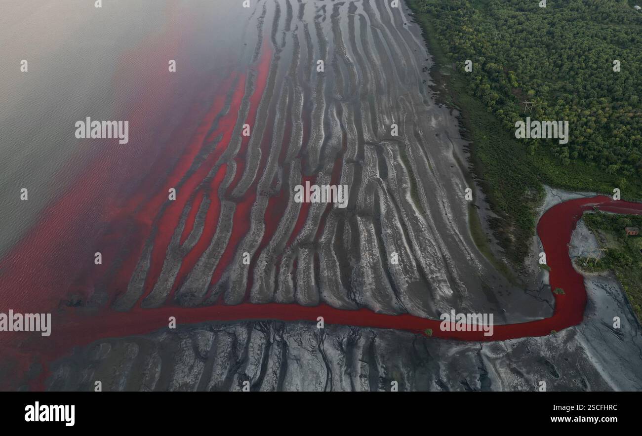 The "Sarandi" stream, dyed red due to unknown contaminants allege ...