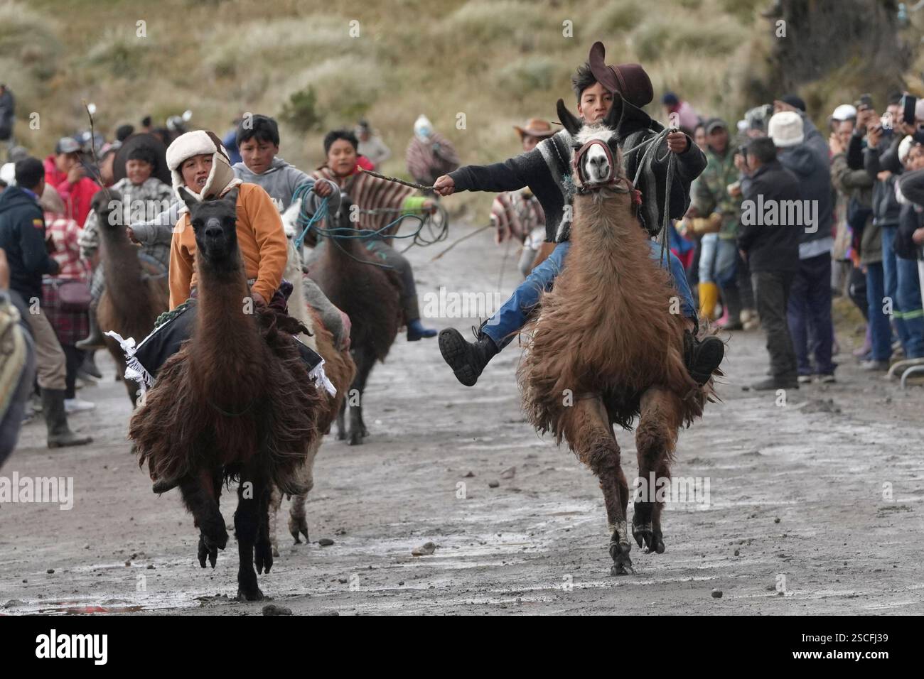 Children compete in the annual llama races that commemorate "World ...