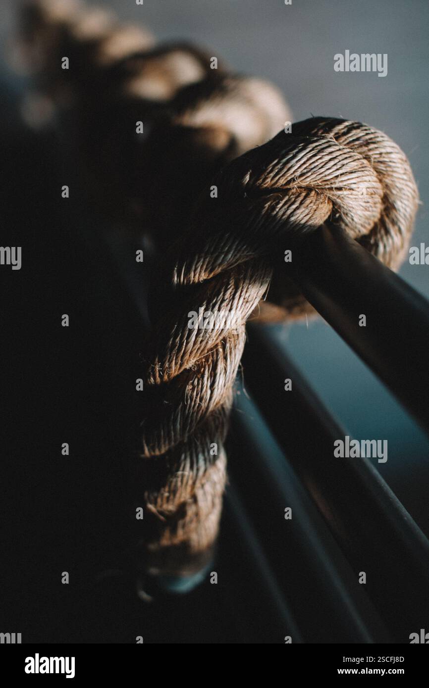 Soft lines intertwine hi-res stock photography and images - Alamy
