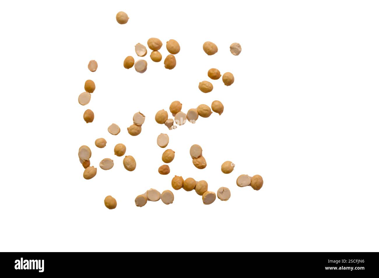 Numerous light-colored seeds are scattered randomly on a bright white ...