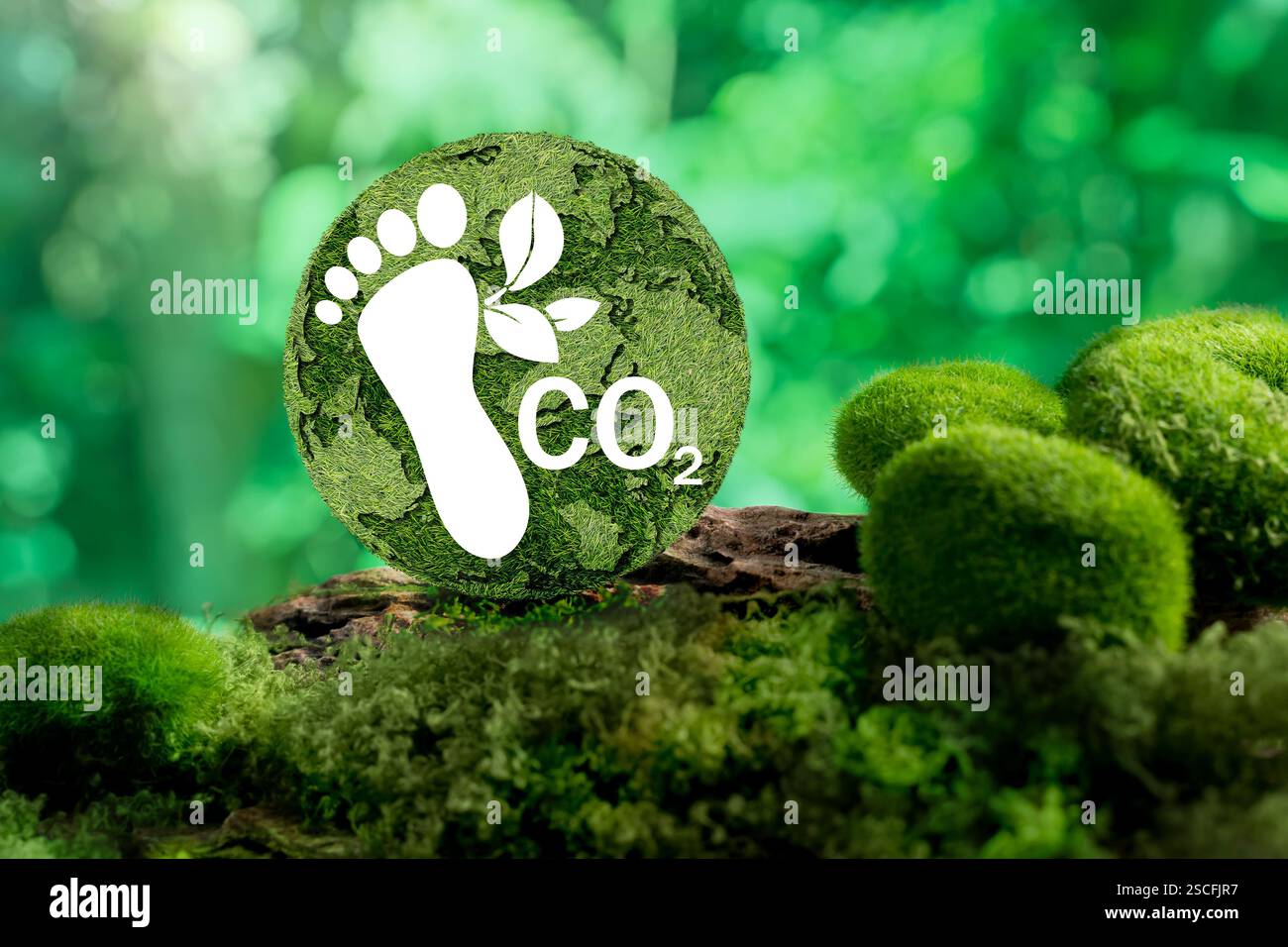 Reduce carbon footprint concept. Green business from renewable energy ...