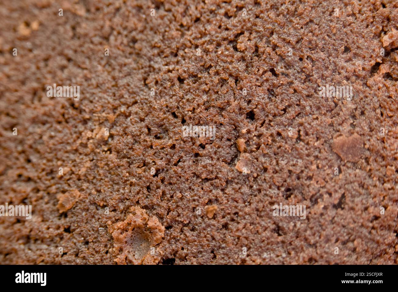 A thick slice of chocolate cake reveals its dense and moist interior ...