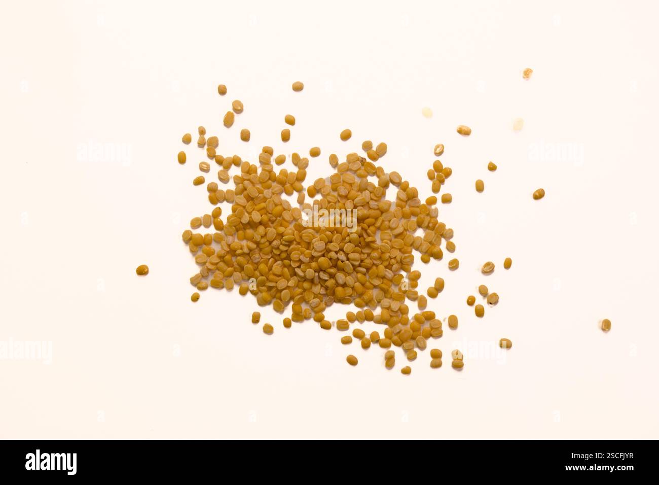A collection of small brown seeds is dispersed across a light-colored ...