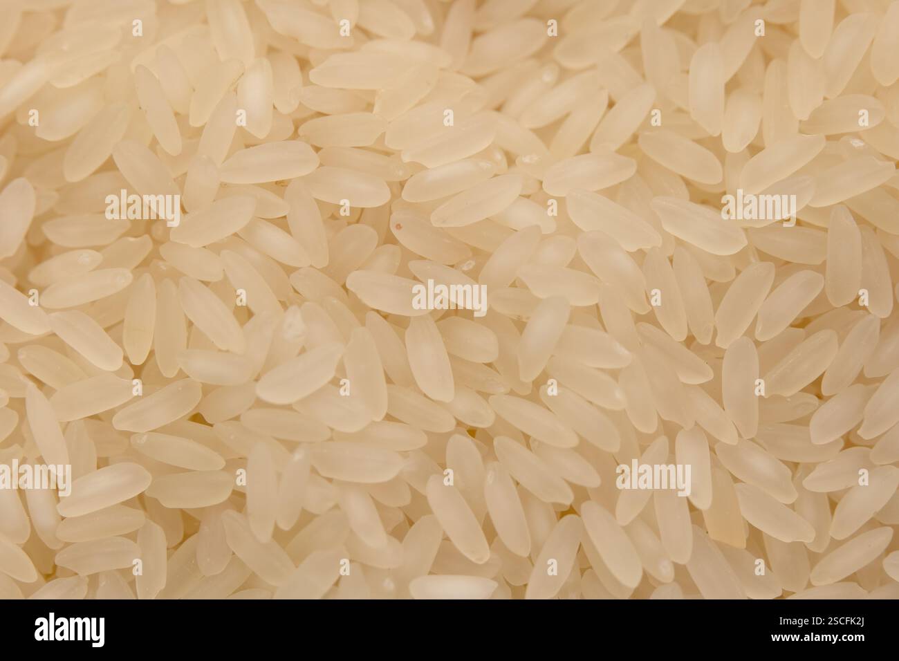 Close-up view of uncooked long-grain white rice reveals grains’ shape ...