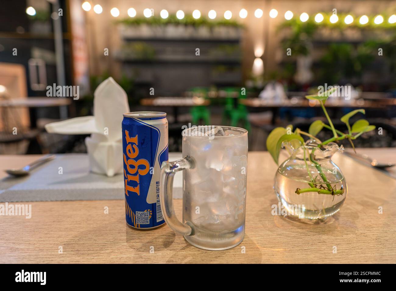 Nha Trang, Vietnam - August 03, 2024: a can of Tiger beer and a mug ...