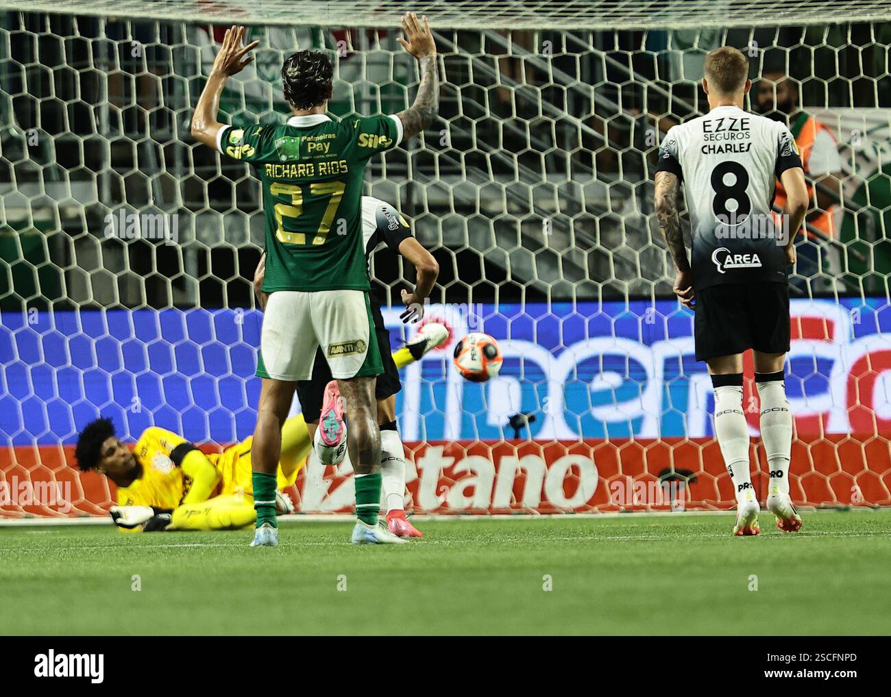 Palmeiras richard rios 2025 hi-res stock photography and images - Alamy