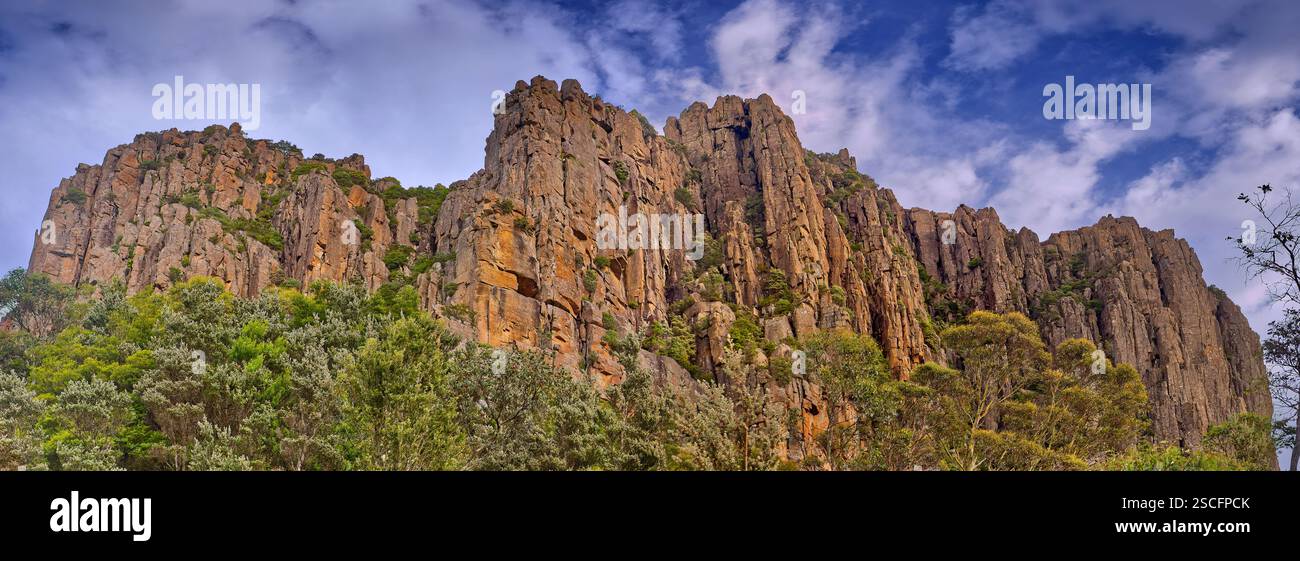 Low angle panorama of organ pipes dolerite pillar rock formation cliff face in morning light ...