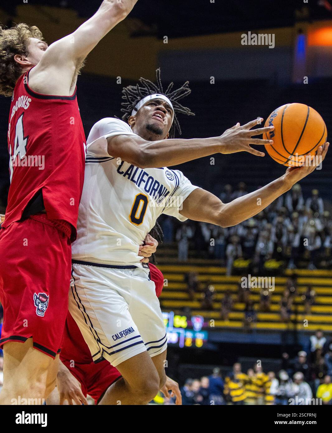 February 05 2025 Berkeley CA, USA California guard Jeremiah Wilkinson ...