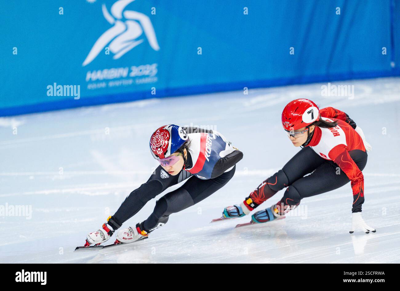Harbin, China's Heilongjiang Province. 7th Feb, 2025. Choi Minjeong (L ...