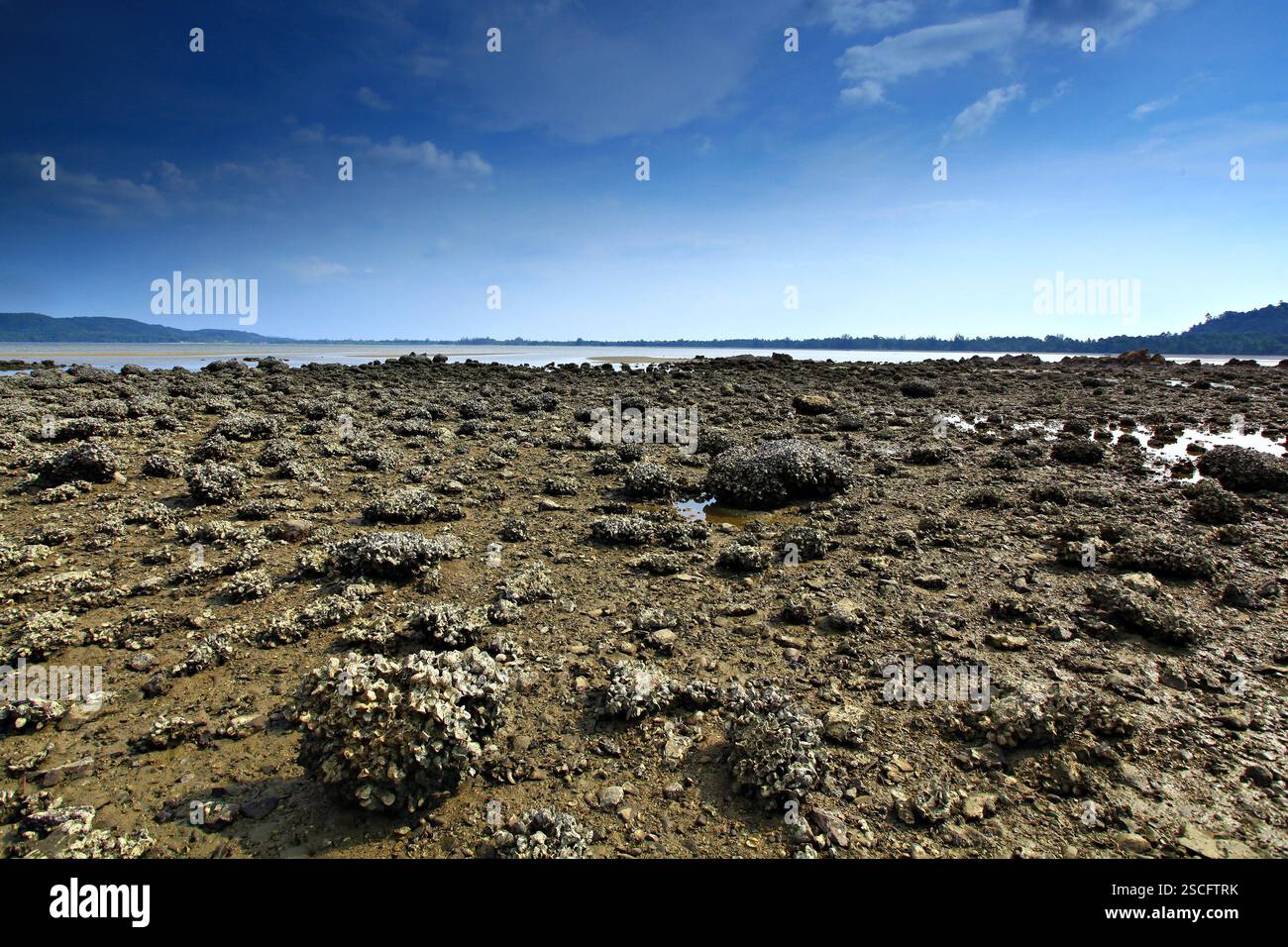 Tropical beach Ao Bo Mao Beach (Bo Mao Beach) in Chum Kho, Pathio ...