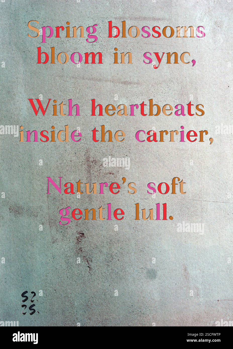 Spring blossoms bloom in sync, With heartbeats inside the carrier ...