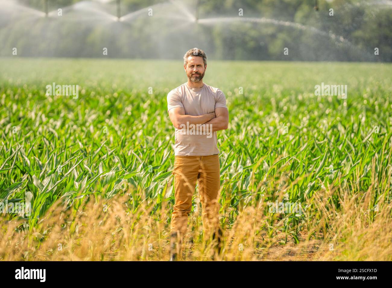 Farmer man in countryside. Water sprinkler irrigating crop field. Drip irrigation system. Crop ...