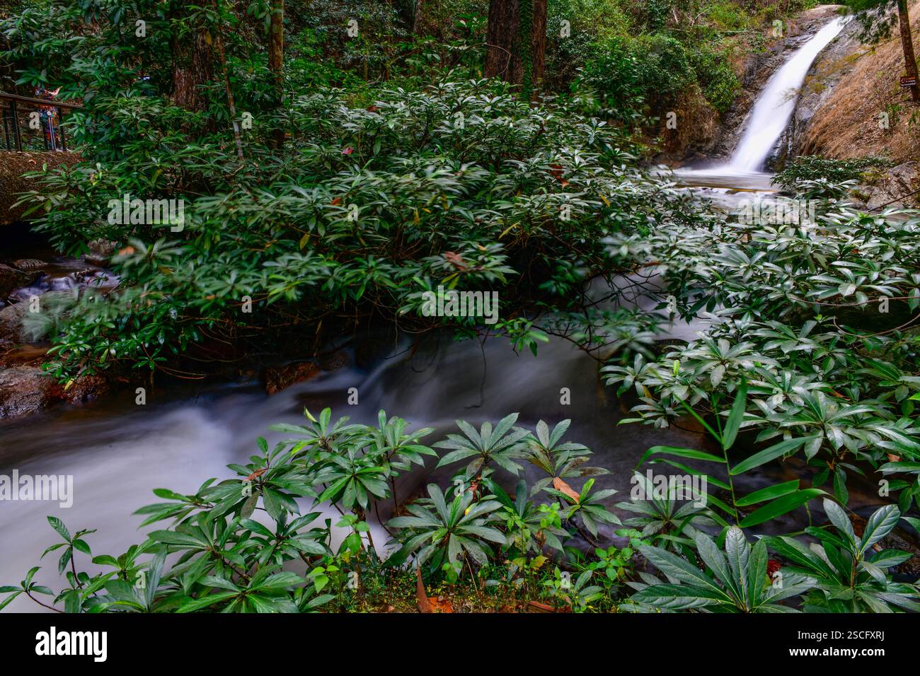Beautiful waterfall in tropical forest in Chae Son Waterfall at Chaeson ...