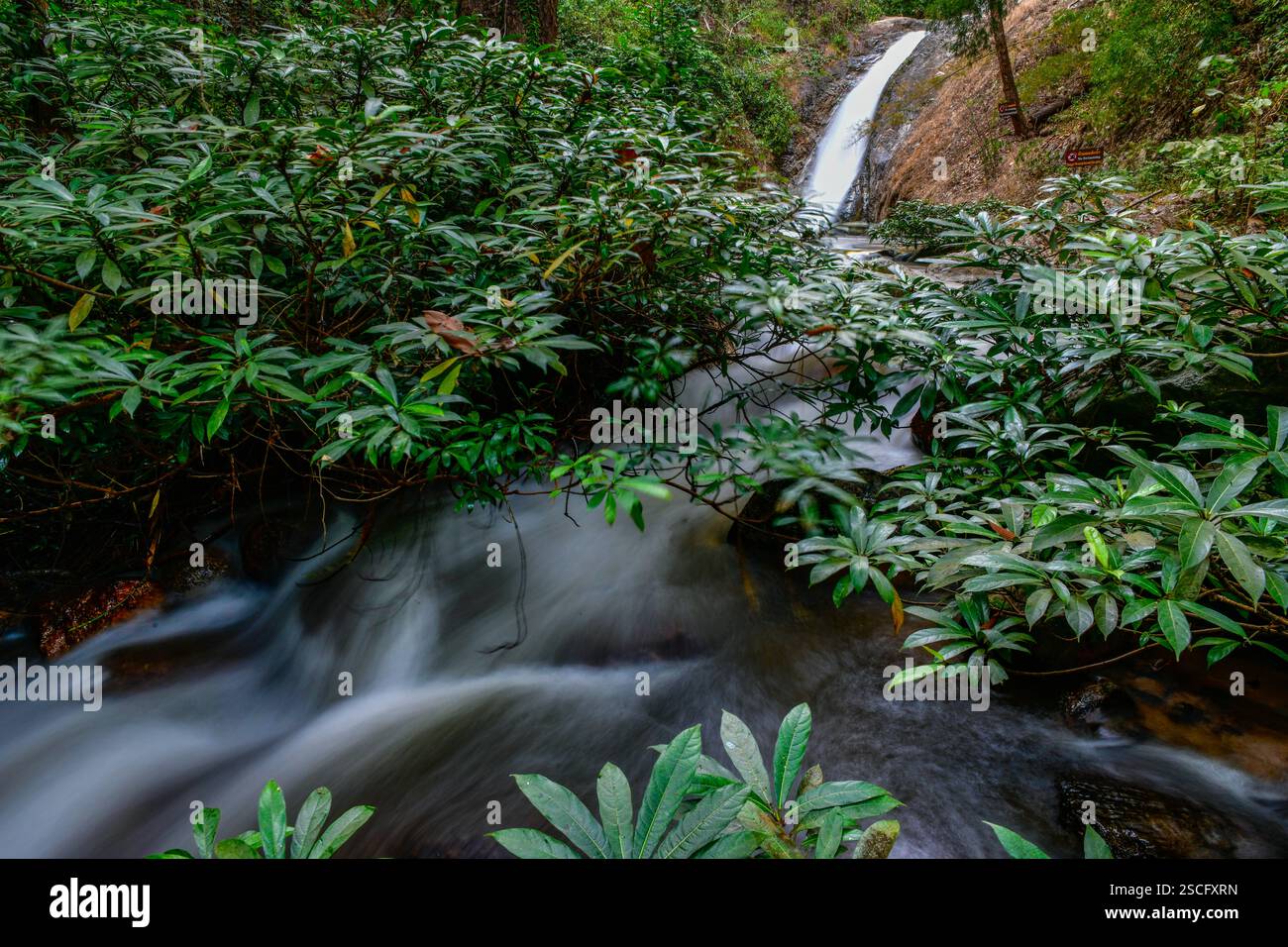 Beautiful waterfall in tropical forest in Chae Son Waterfall at Chaeson ...