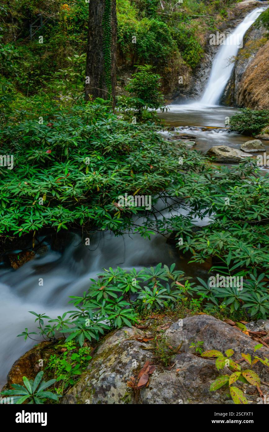 Beautiful waterfall in tropical forest in Chae Son Waterfall at Chaeson ...
