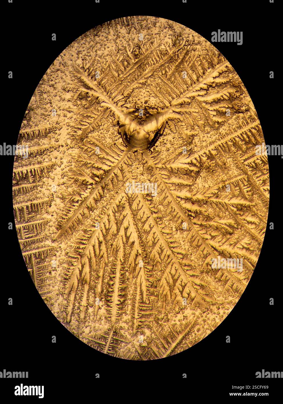 Unique patterns of crystals precipitated from mineral spring water, as ...