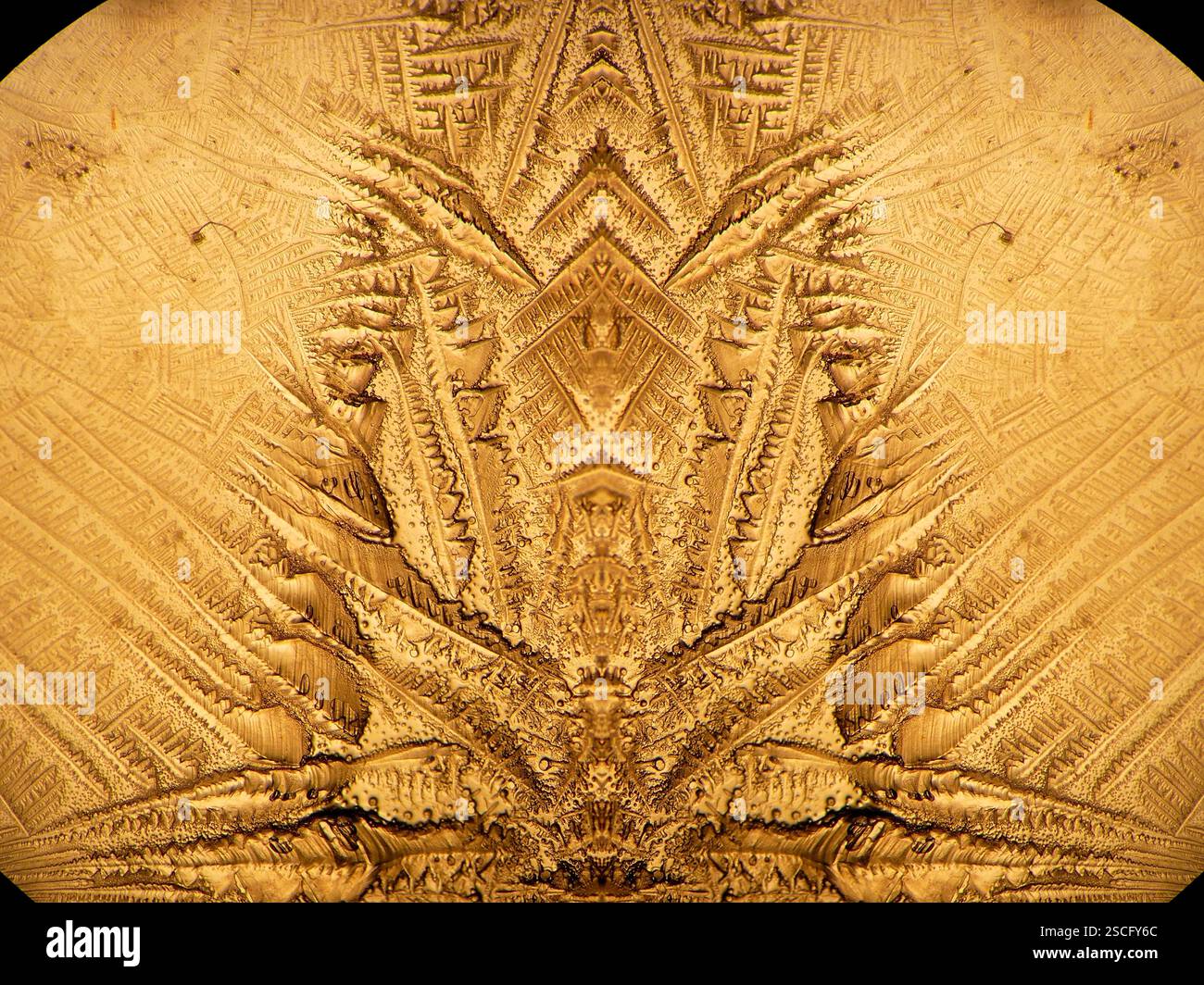 Mirror image of salt crystals precipitated from mineral spring water as ...