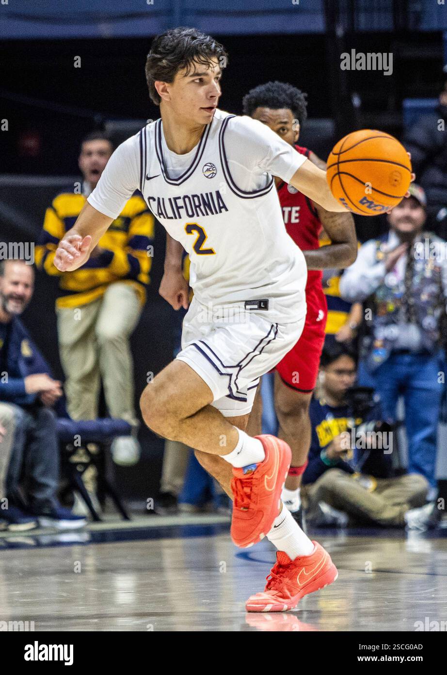 February 05 2025 Berkeley CA, USA California guard Andrej Stojakovic (2 ...