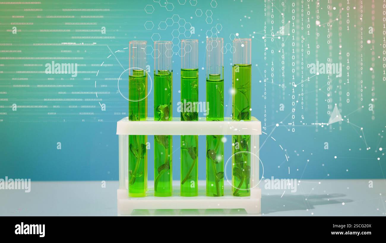 Plant in test tube bio laboratory. Biology, science, biotechnology ...