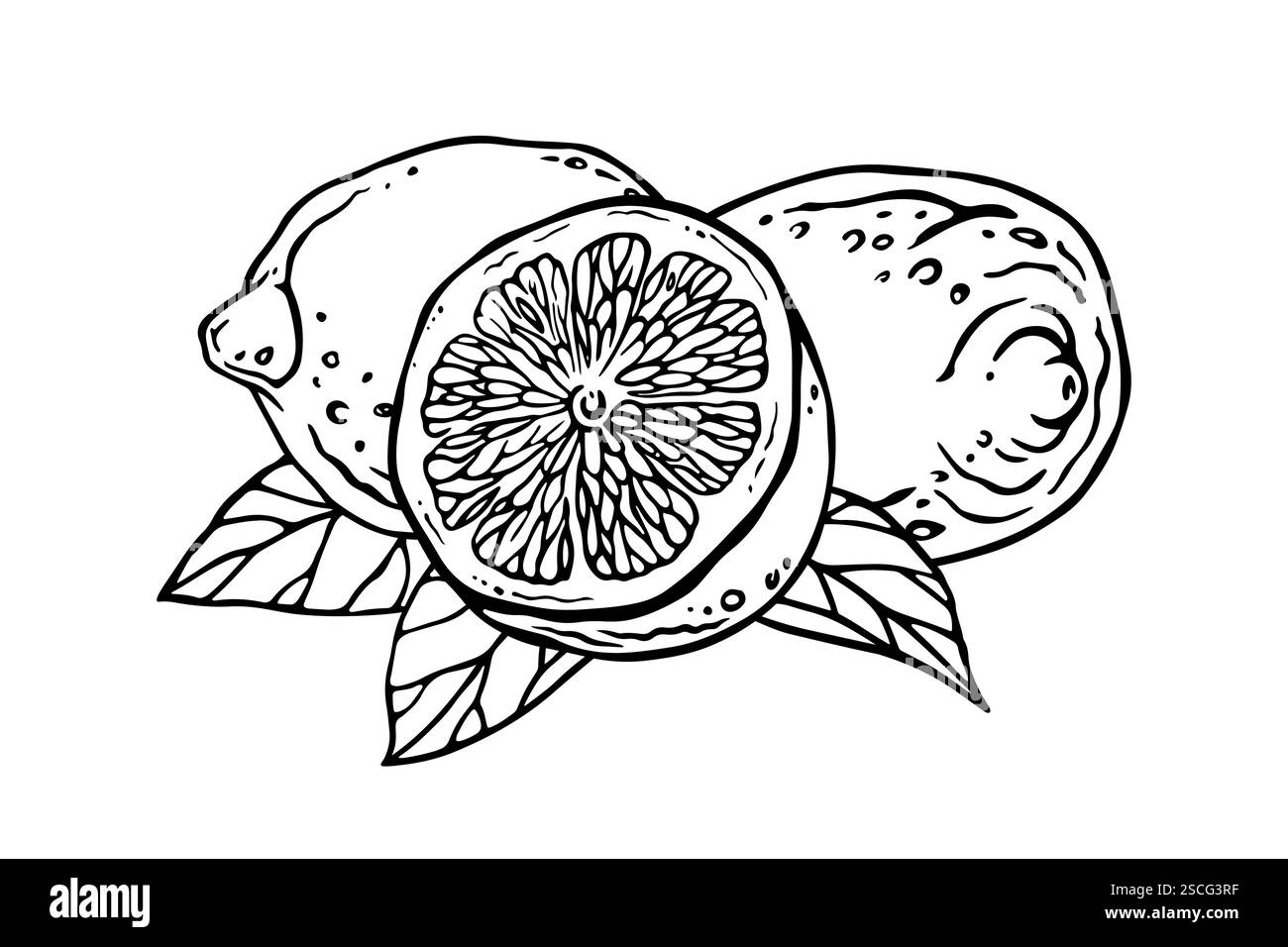 Lemons. Ink graphic composition with whole and half citrus fruits on ...