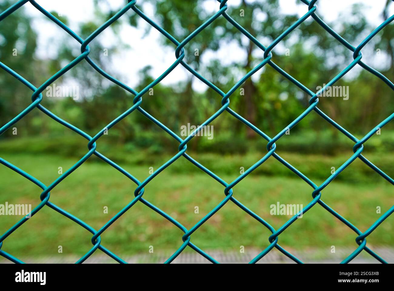 Green security mesh hi-res stock photography and images - Alamy